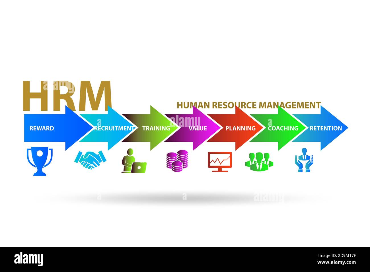 HRM - human resources management business concept Stock Photo - Alamy