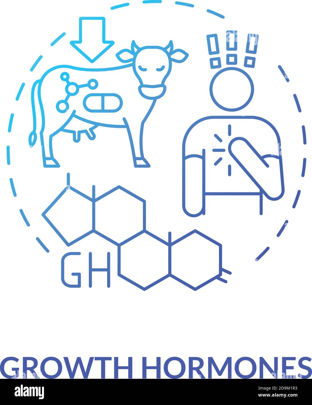 Growth hormones blue gradient concept icon Stock Vector Image & Art - Alamy