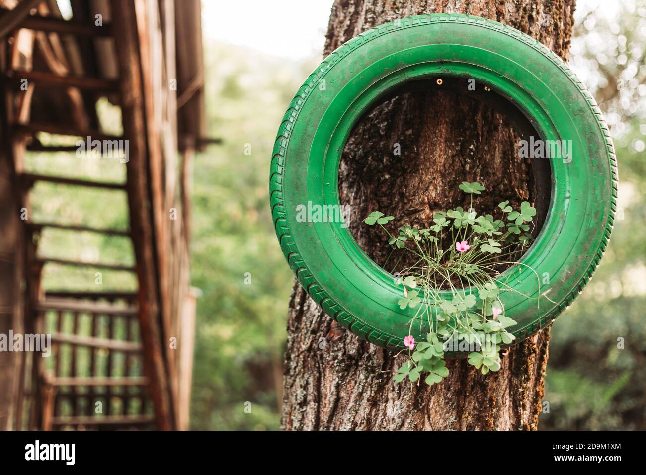 Recycle tire on the tree with flower decoration. Wooden cabin in the ...