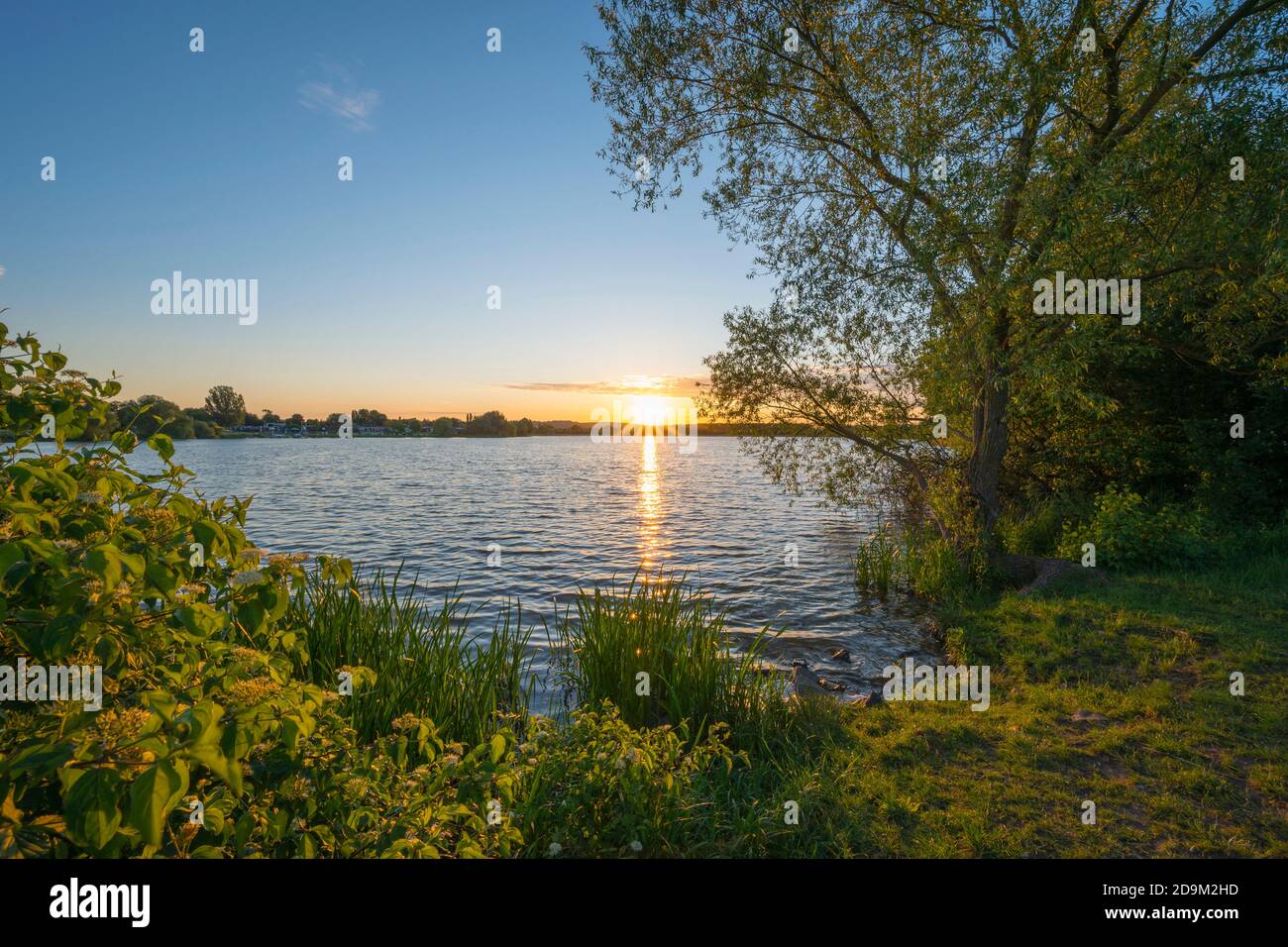 Lake, sunrise, spring, Langenselbold, Kinzigsee, Hesse, Germany Stock ...