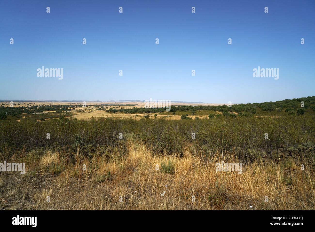 Landscape view of greenfields on a clear sky background Stock Photo - Alamy