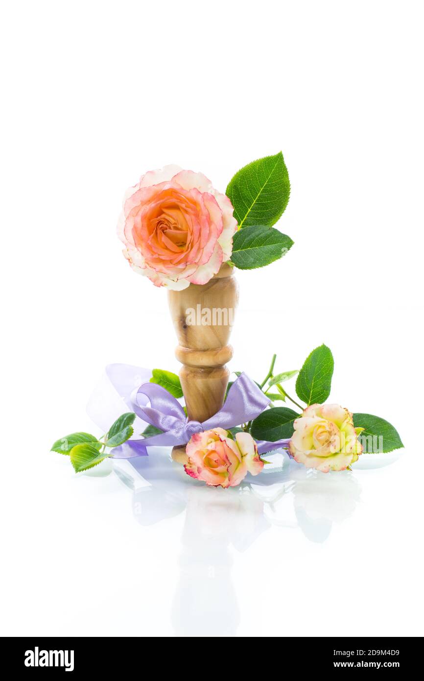 pink beautiful summer roses on white background Stock Photo - Alamy