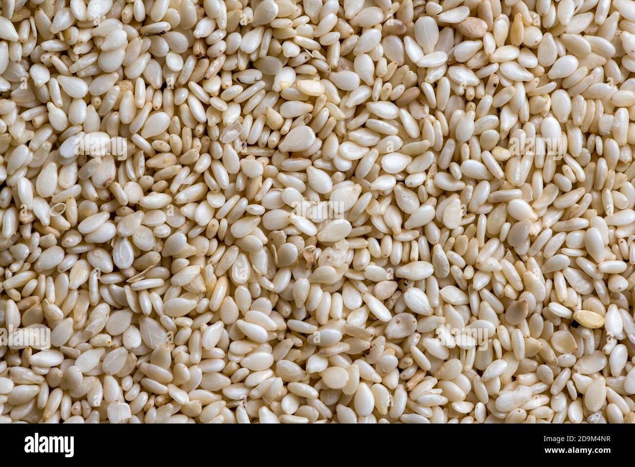 Closeup texture of sesame seeds Stock Photo - Alamy