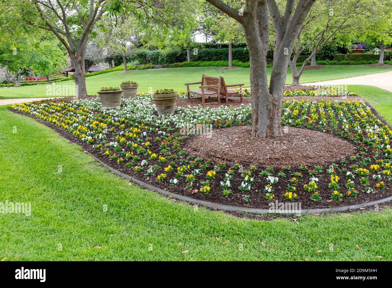 Flowers At Base Of Tree