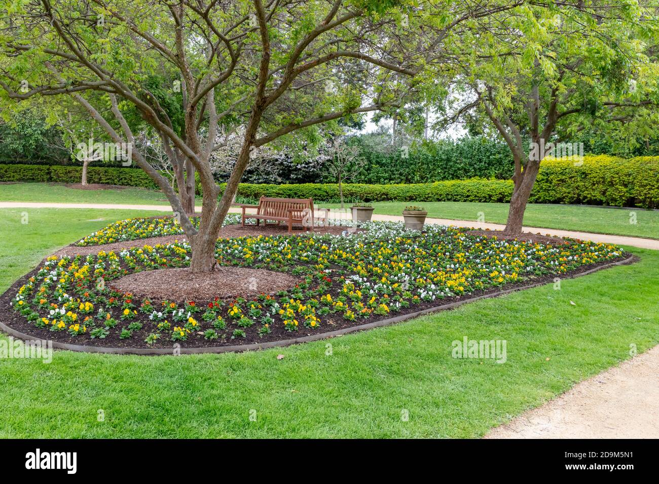 A colourful arrangement of flowers around the base of a large tree with ...