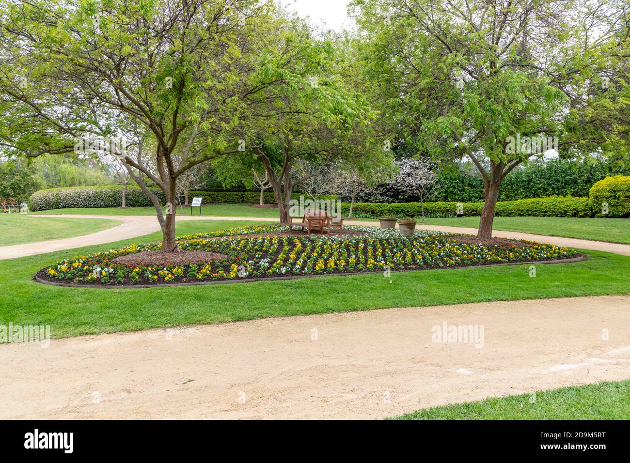 A colourful arrangement of flowers around the base of a large tree with ...