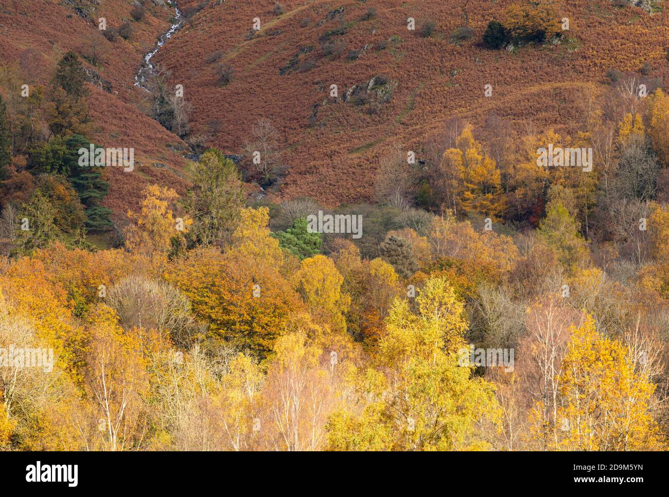 Autumn photograph hi-res stock photography and images - Alamy