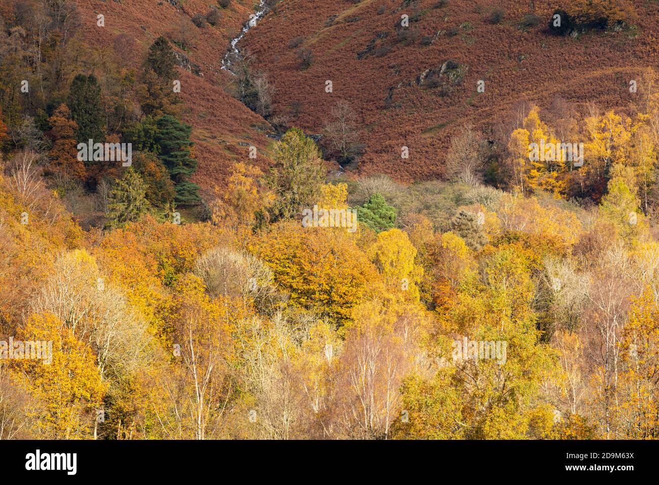 Autumn Colours at Rydal Stock Photo - Alamy