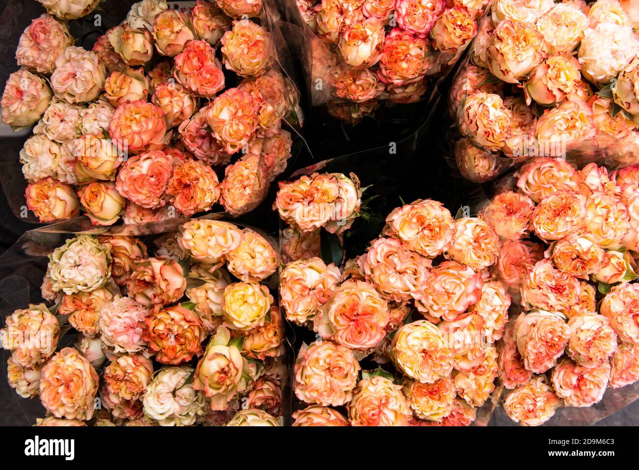 Flower vending hi-res stock photography and images - Alamy