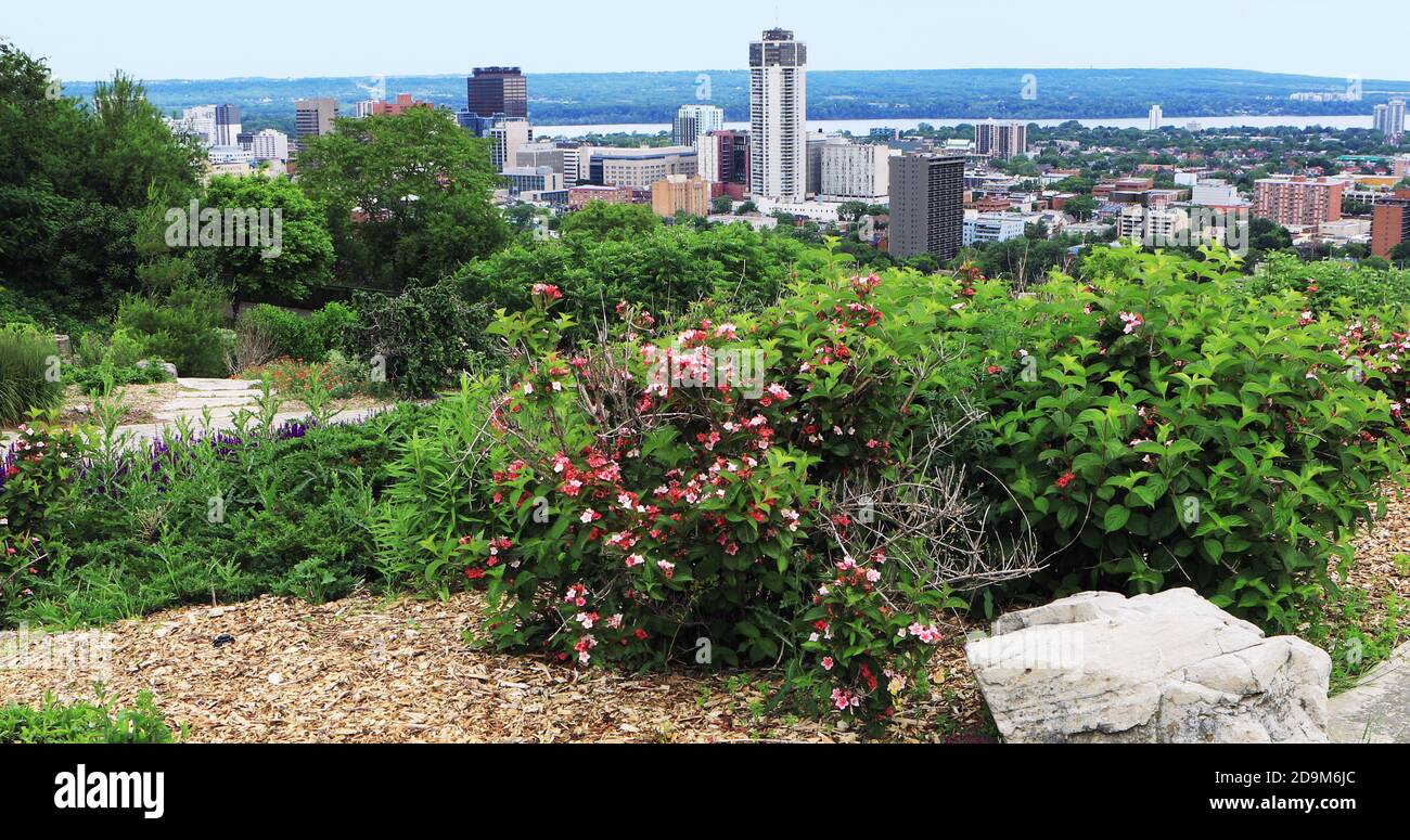 Hamilton ontario city hi-res stock photography and images - Alamy