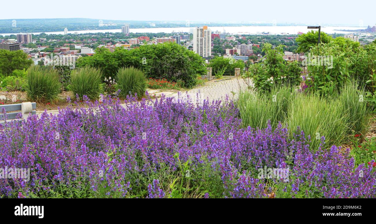 The Hamilton, Ontario skyline with road in front Stock Photo - Alamy