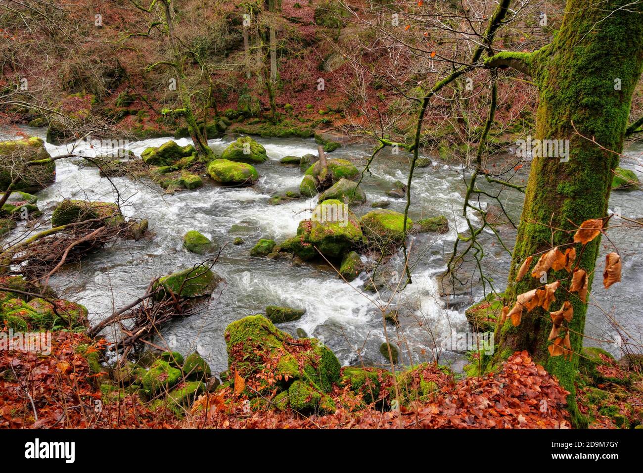 River prum at the irrel waterfalls at irrel hi-res stock photography ...