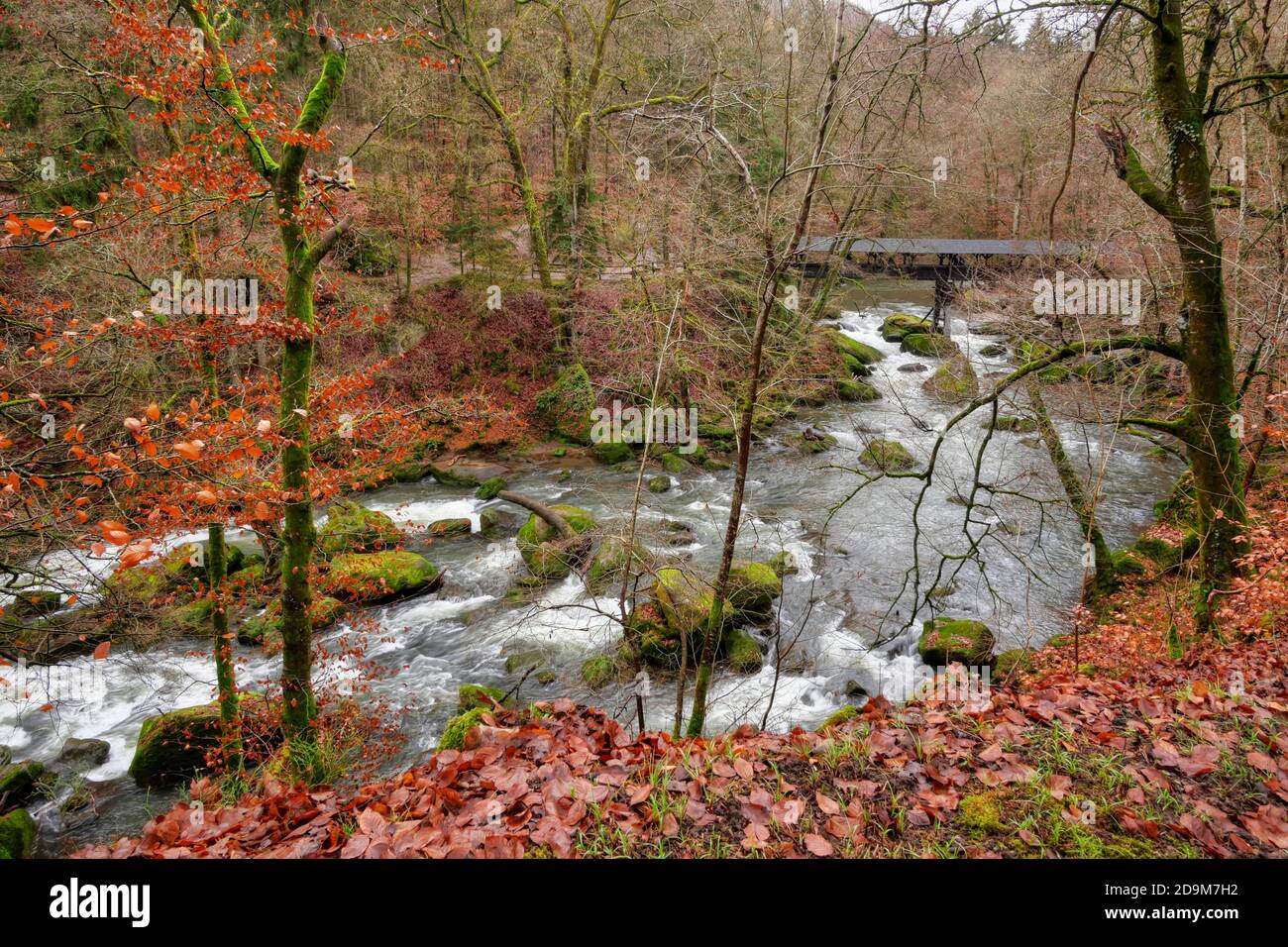 River Prüm at the Irrel waterfalls, Irrel, Südeifel, Rhineland ...