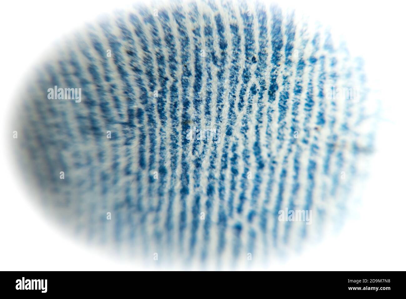 blue finger print on white paper Stock Photo - Alamy