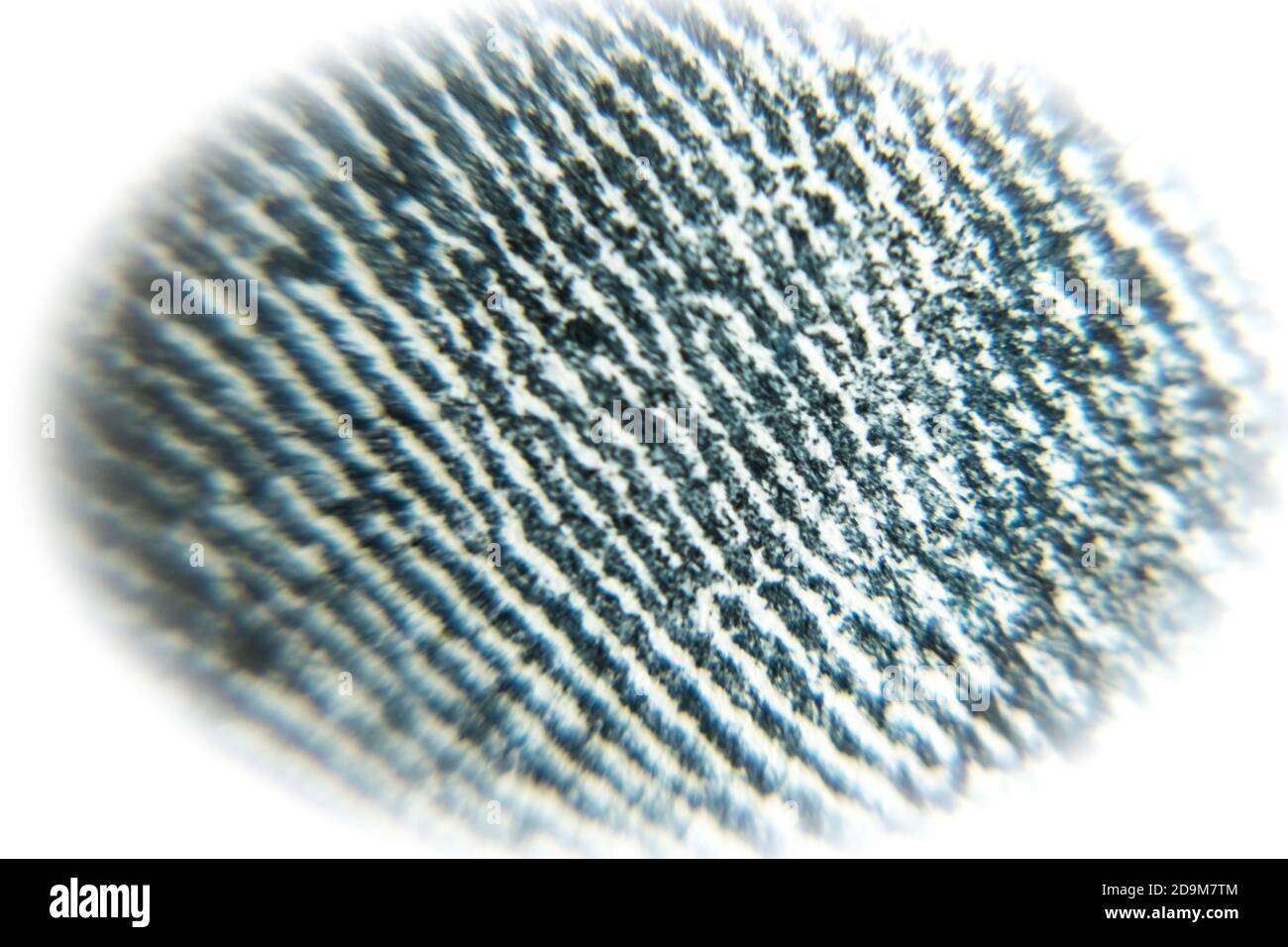 finger print on white paper Stock Photo - Alamy