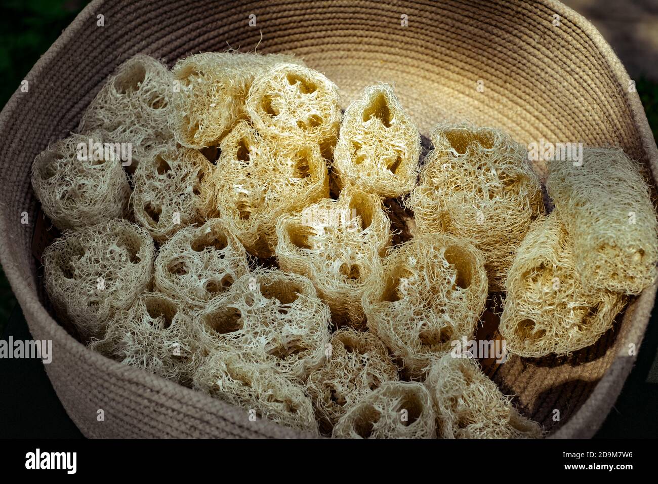 Luffa scrub from natural trees Stock Photo - Alamy
