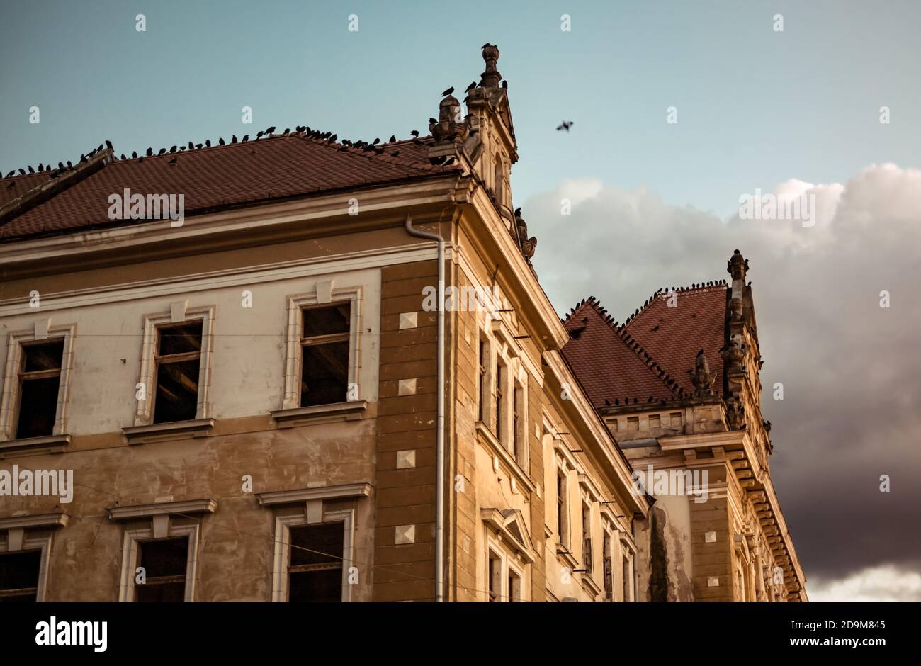 Cornish crow hi-res stock photography and images - Alamy