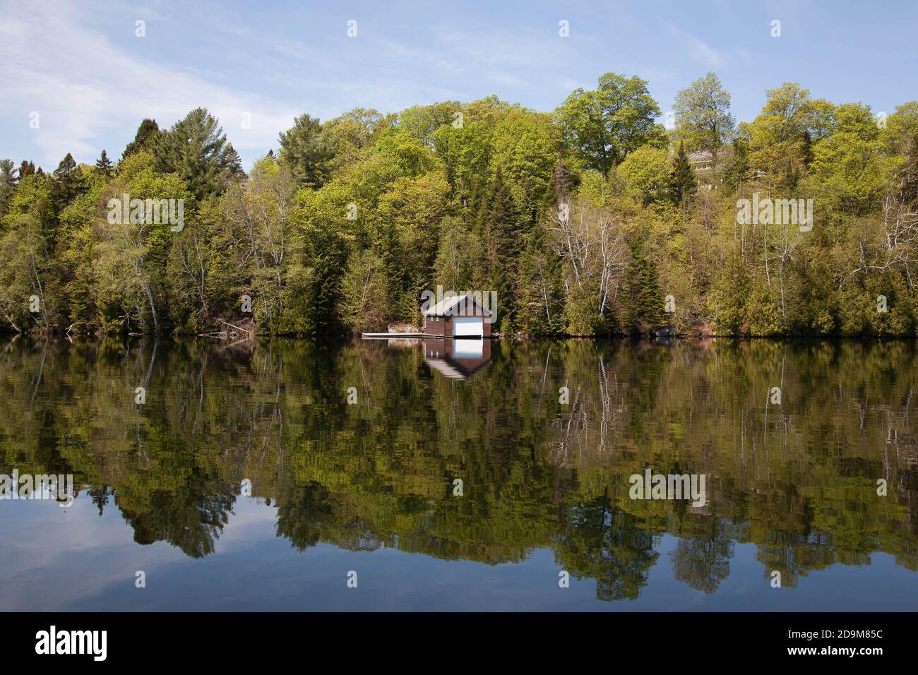 Summer day remote forest lake hi-res stock photography and images - Alamy