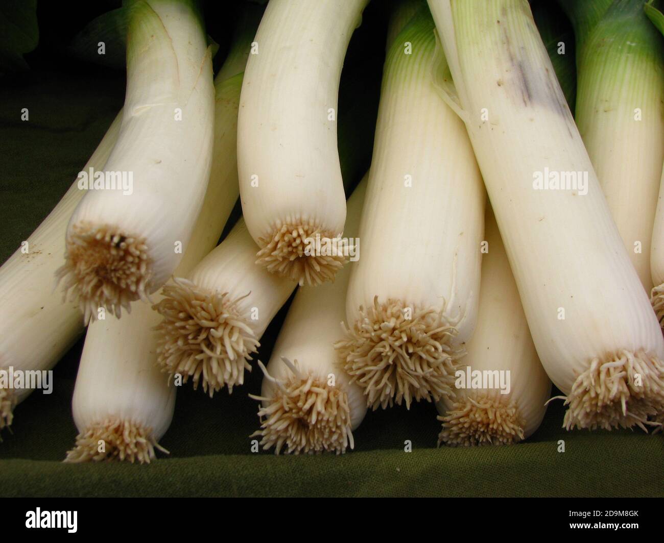 Srping onions hi-res stock photography and images - Alamy