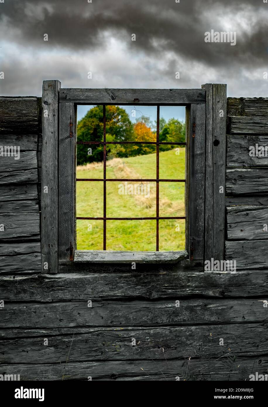 nature seen through the window of an abandoned house Stock Photo - Alamy