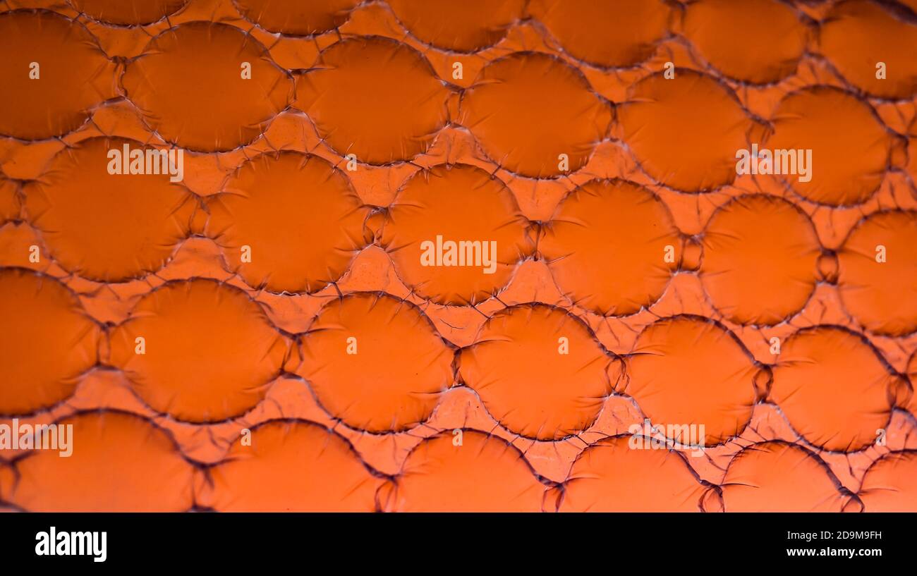 Plastic bubble wrap sheet hi-res stock photography and images - Alamy