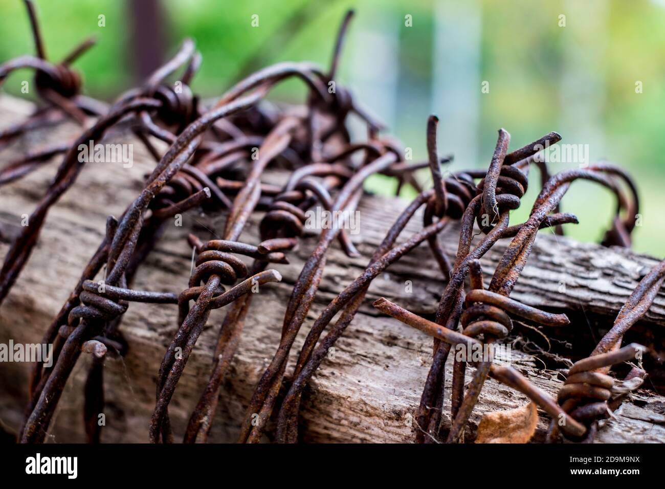 Barbed wire wrap hi-res stock photography and images - Alamy