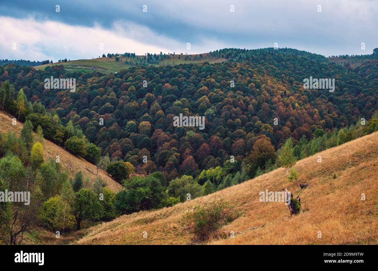 Colorful autumn landscape in the Romanian Carpathians, Fantanele ...