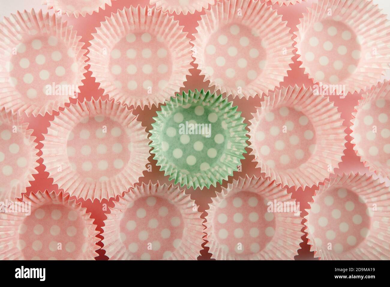Cupcake container empty hi-res stock photography and images - Alamy