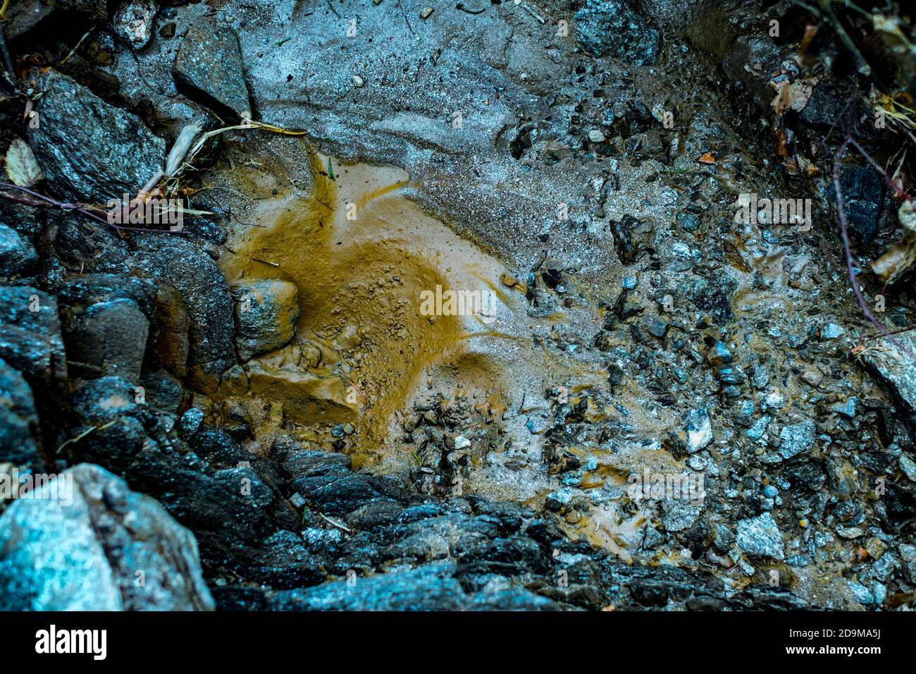 Light blue mica hi-res stock photography and images - Alamy