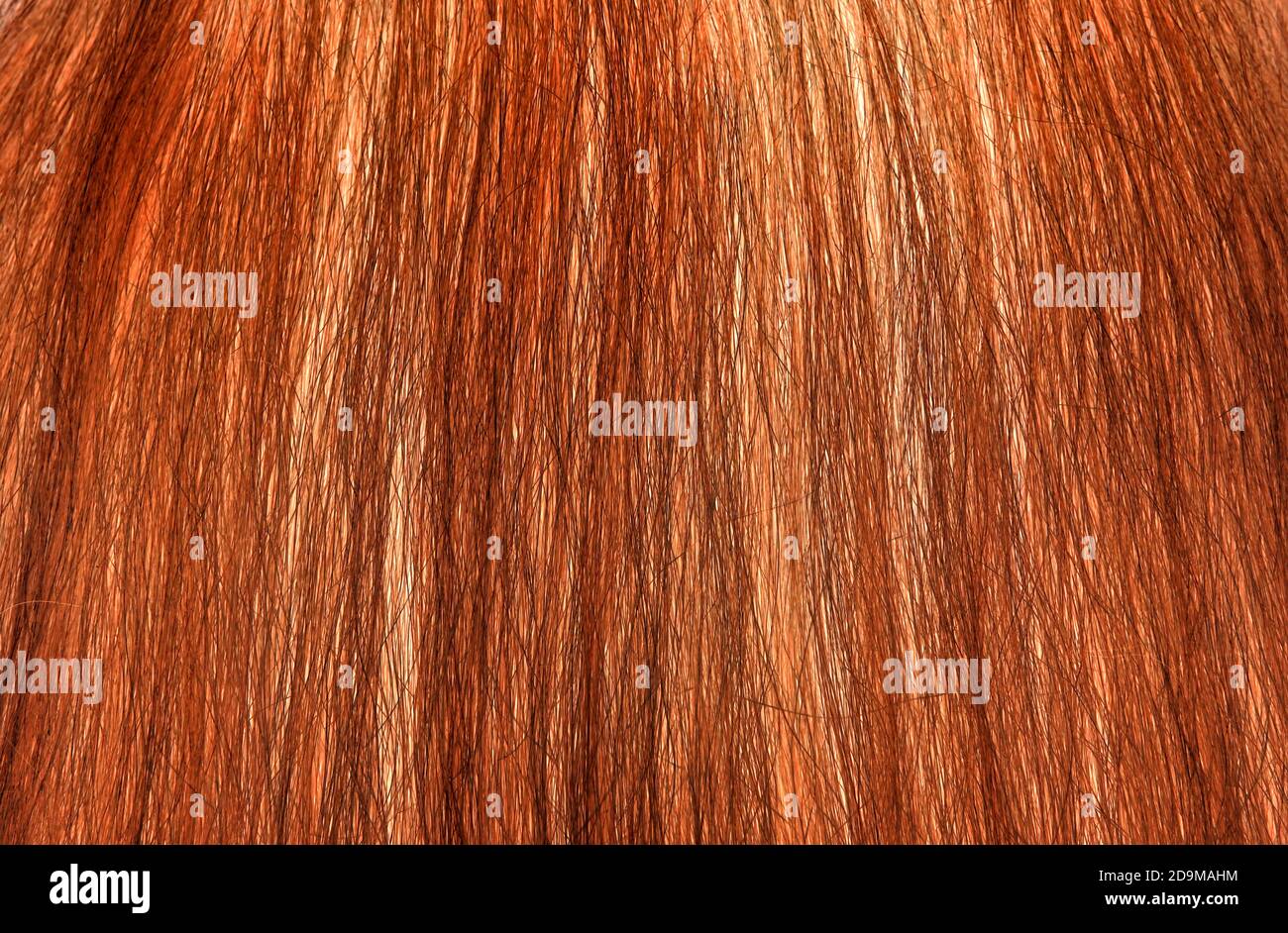 red Hair Texture, close view Stock Photo - Alamy