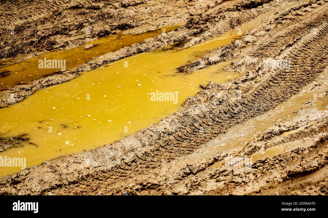 traces of cars in the mud Stock Photo - Alamy