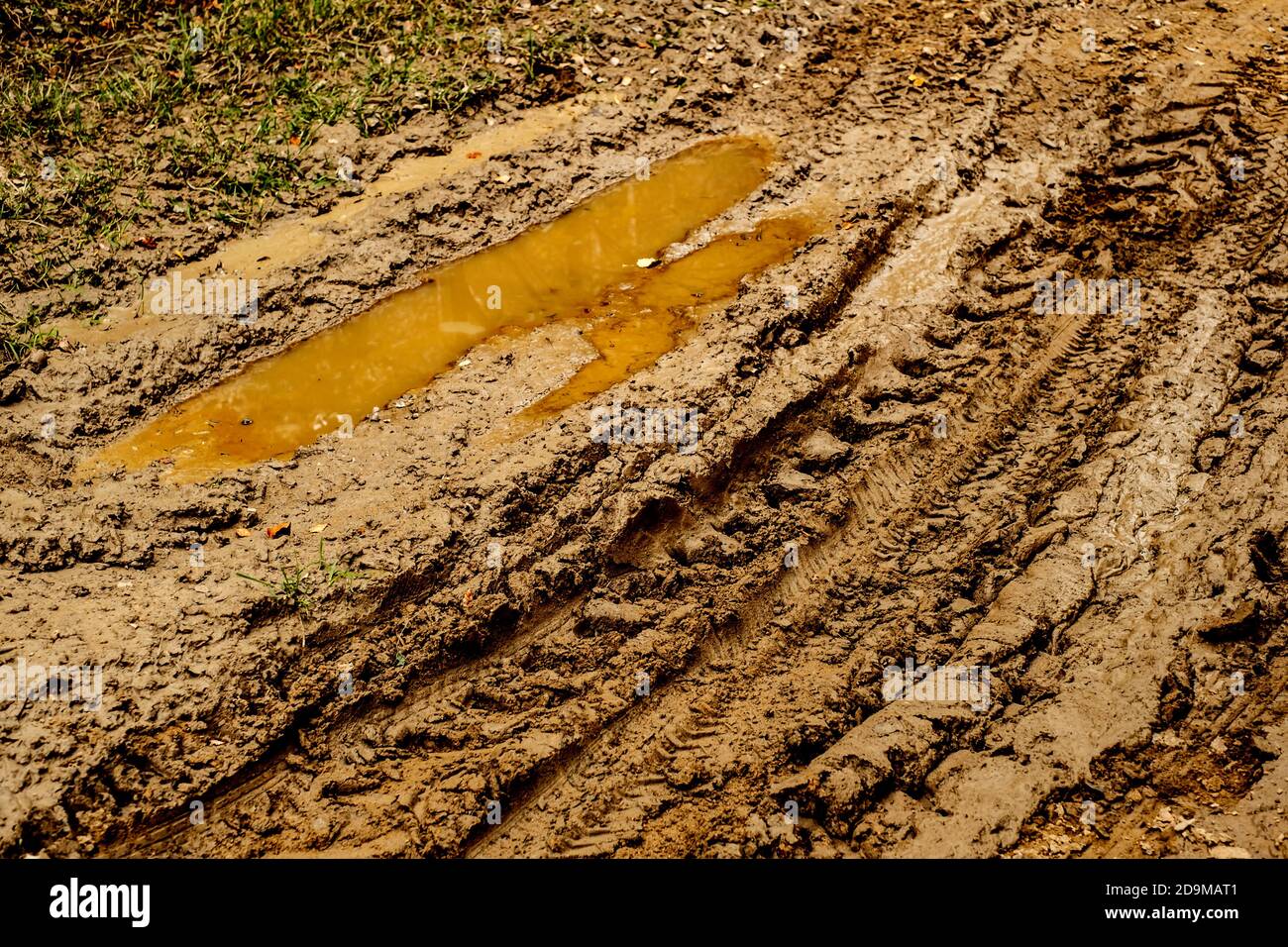 traces of cars in the mud Stock Photo - Alamy