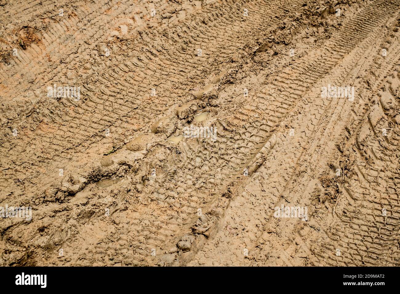 traces of cars in the mud Stock Photo - Alamy