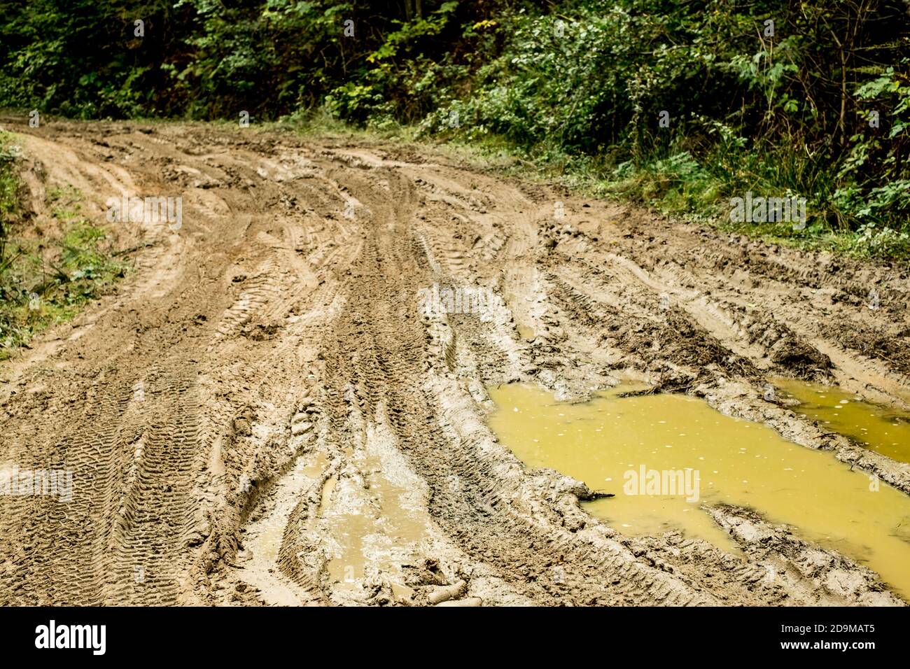 traces of cars in the mud Stock Photo - Alamy