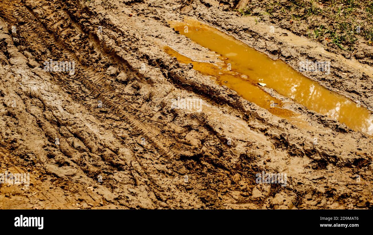 traces of cars in the mud Stock Photo - Alamy