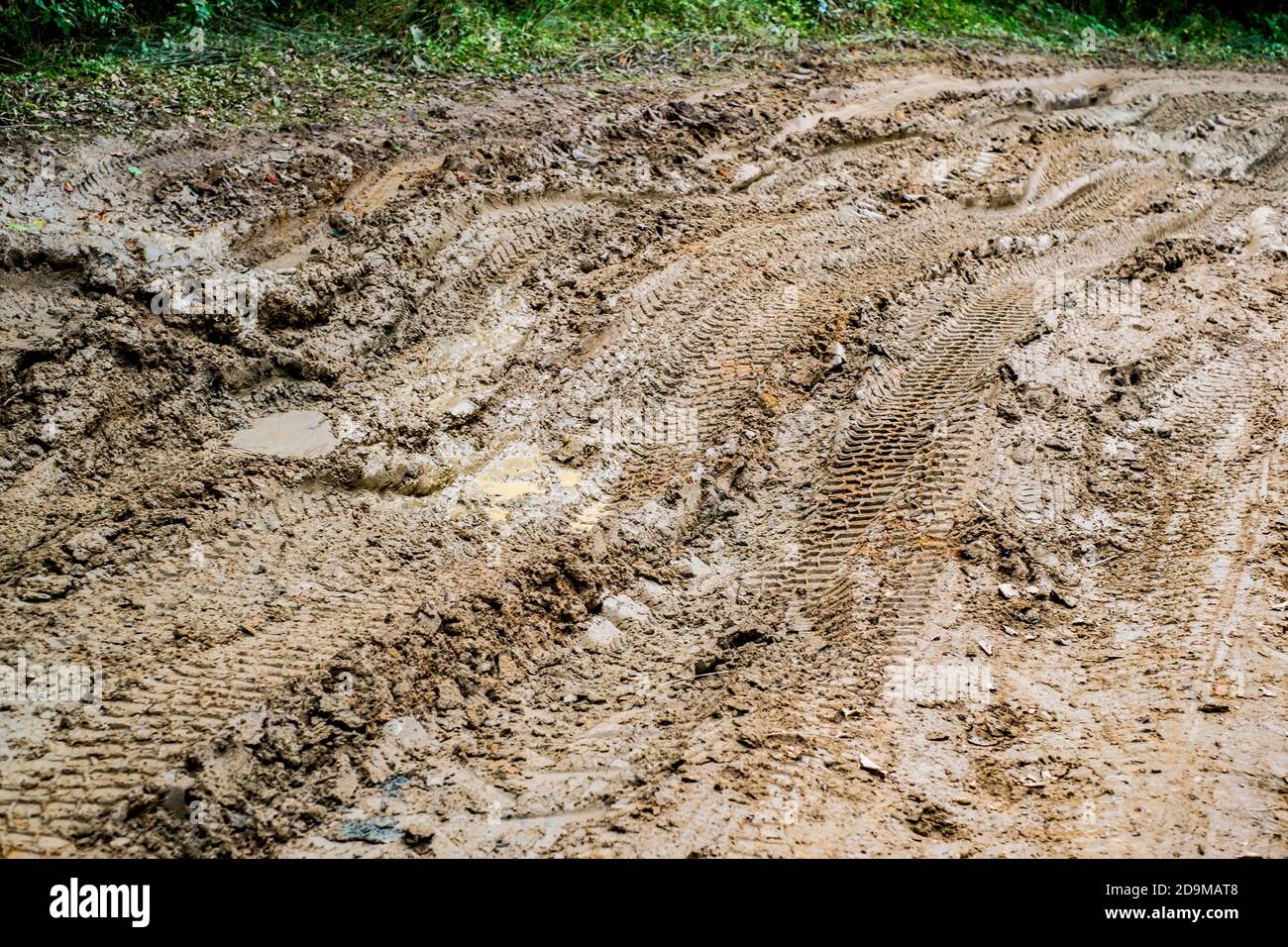 traces of cars in the mud Stock Photo - Alamy