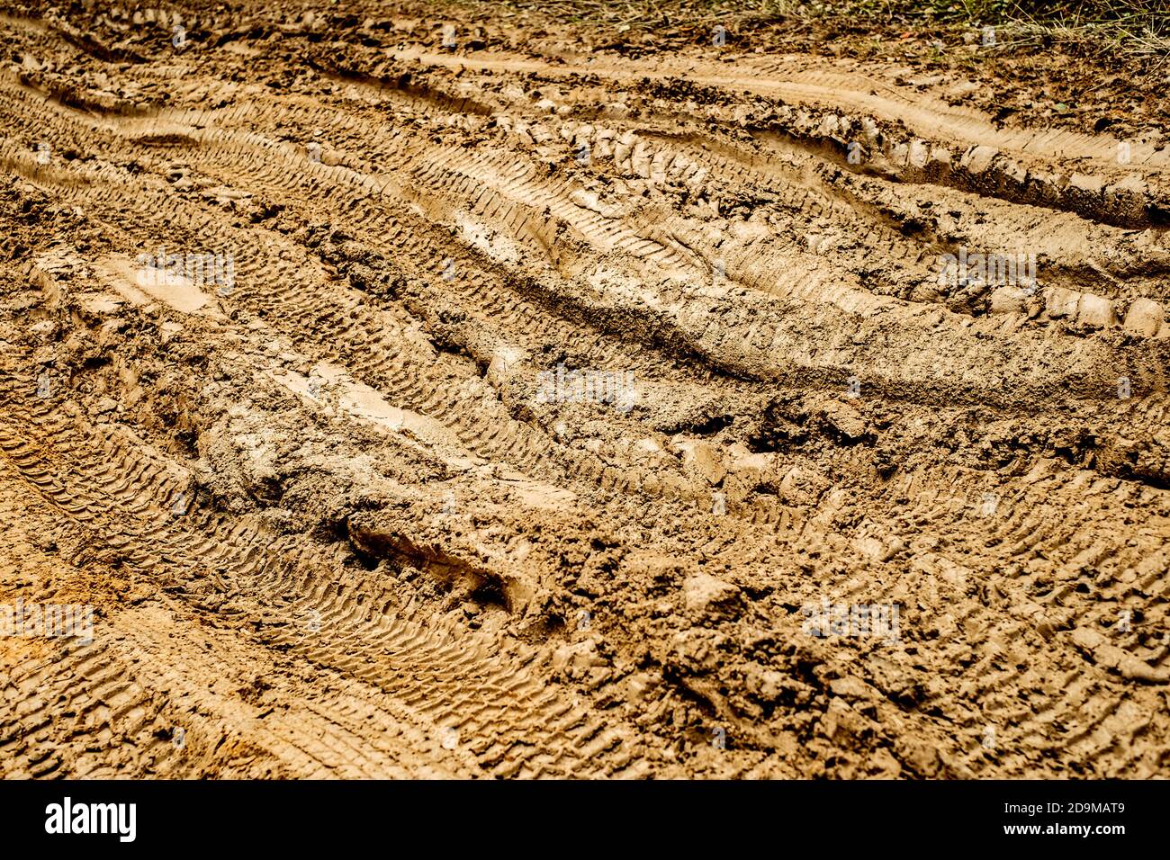 traces of cars in the mud Stock Photo - Alamy