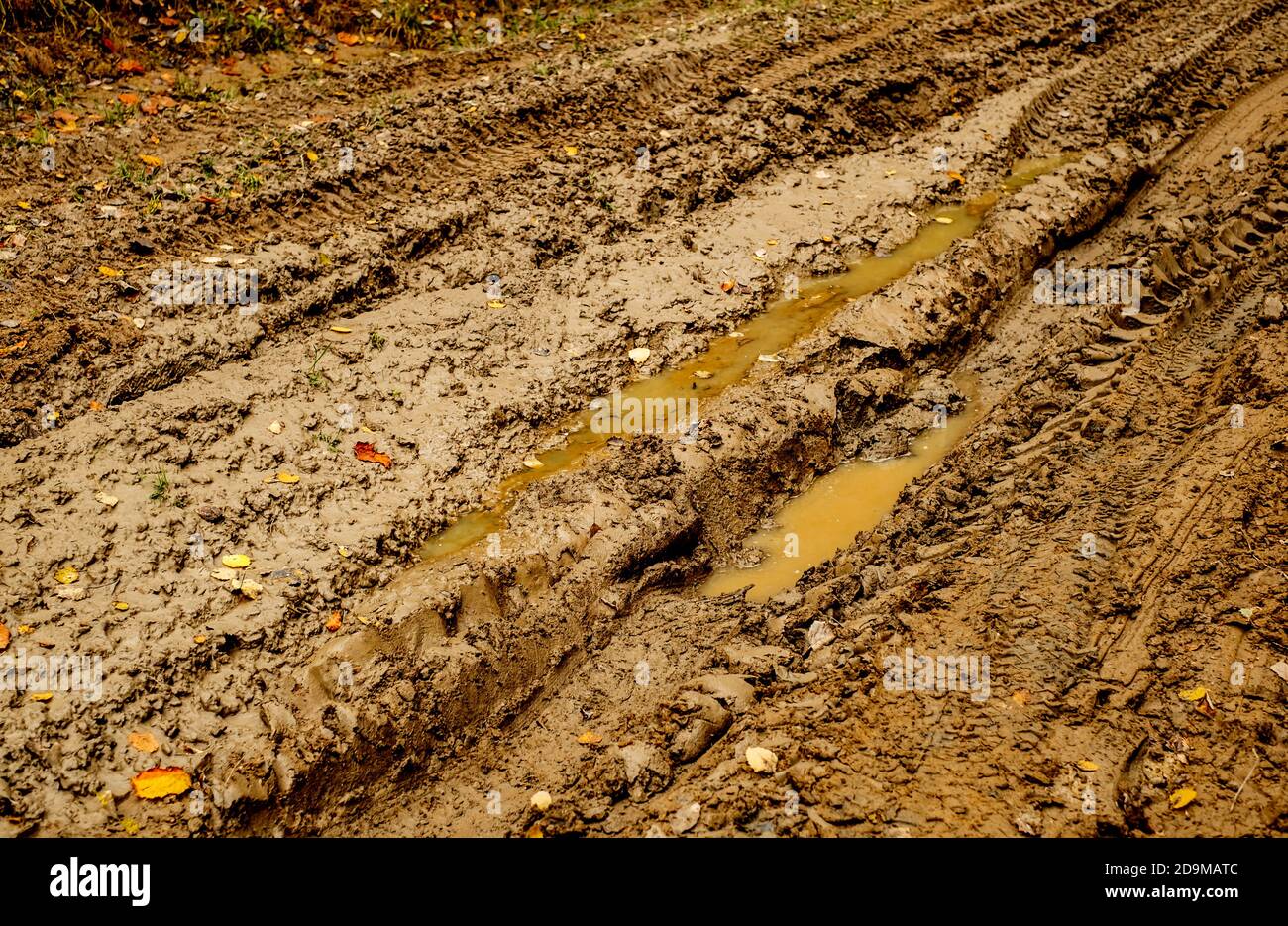 traces of cars in the mud Stock Photo - Alamy
