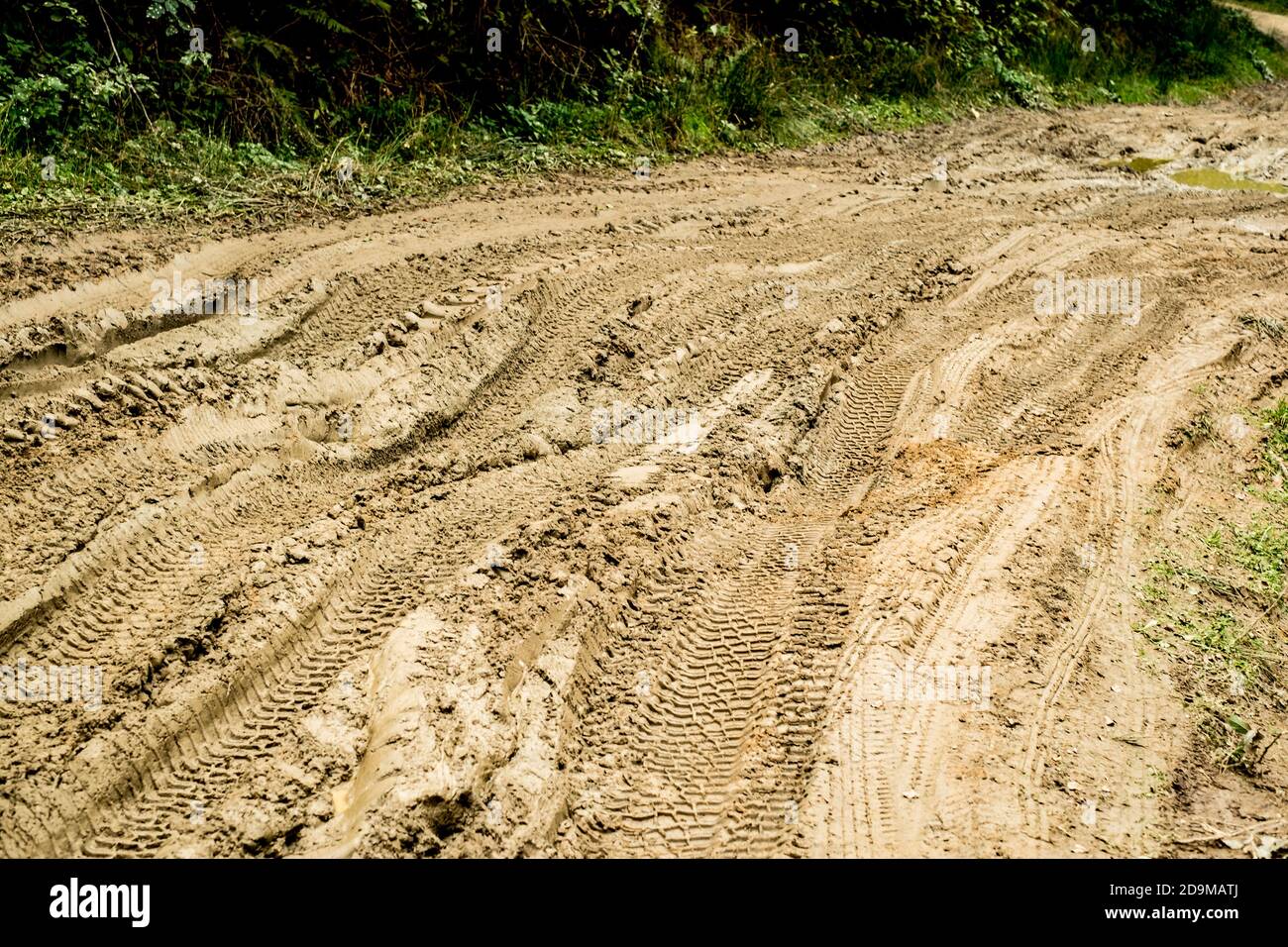 traces of cars in the mud Stock Photo - Alamy