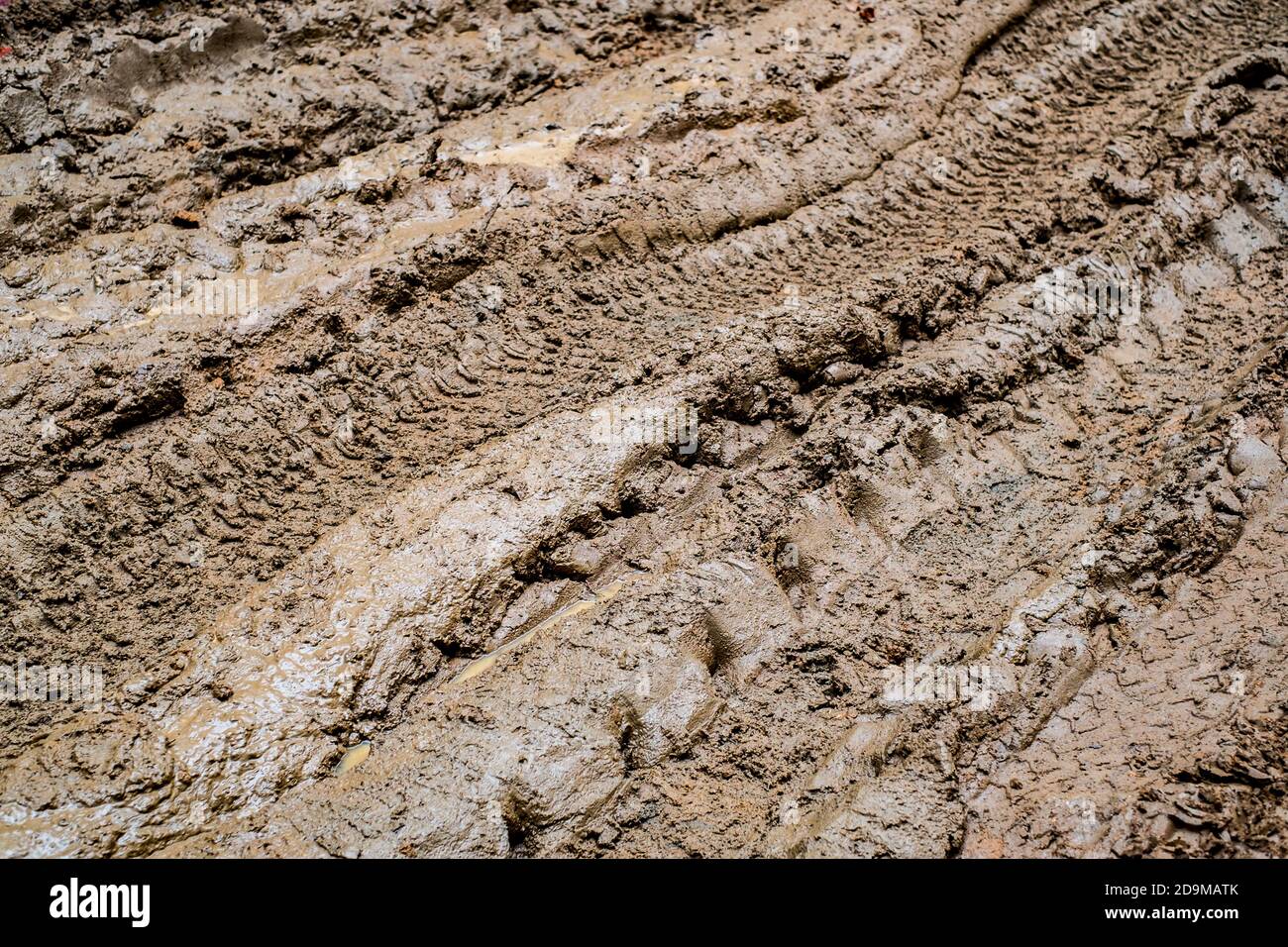traces of cars in the mud Stock Photo - Alamy