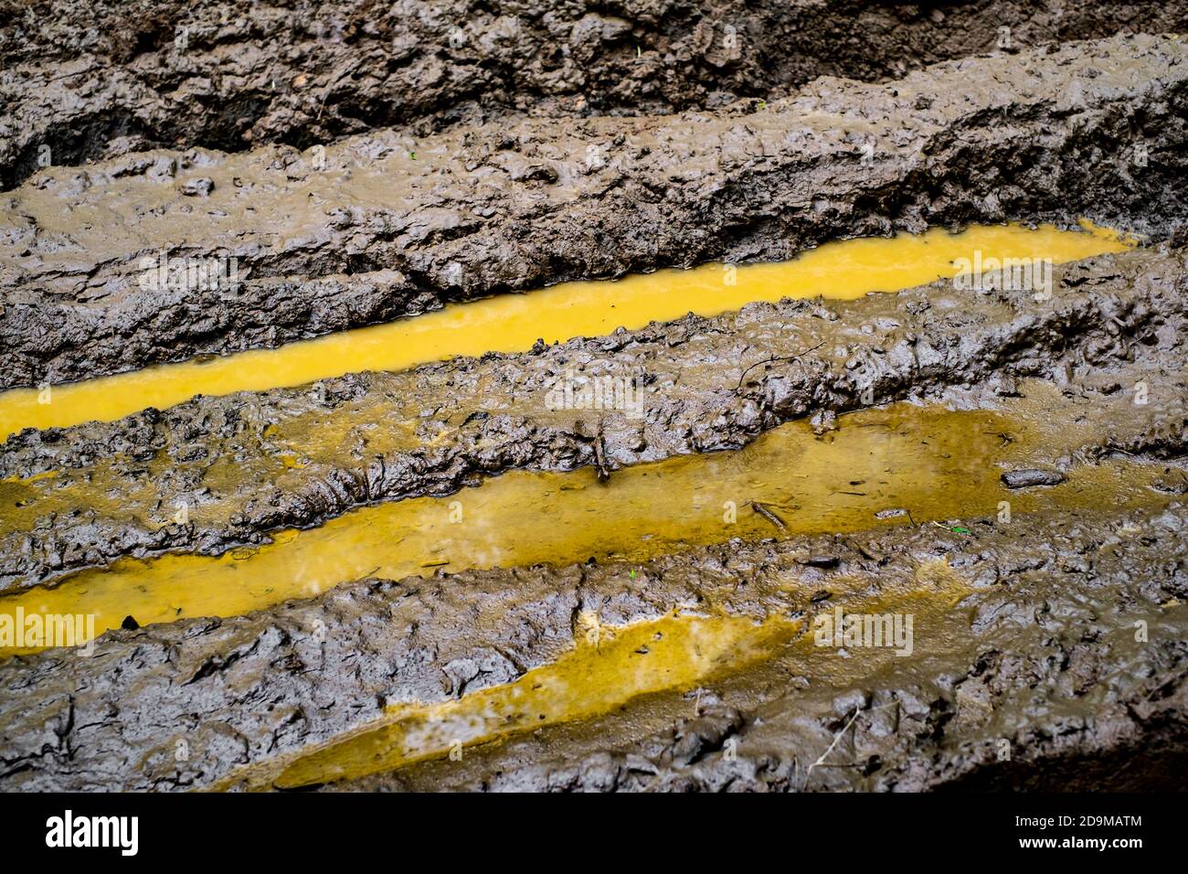 traces of cars in the mud Stock Photo - Alamy