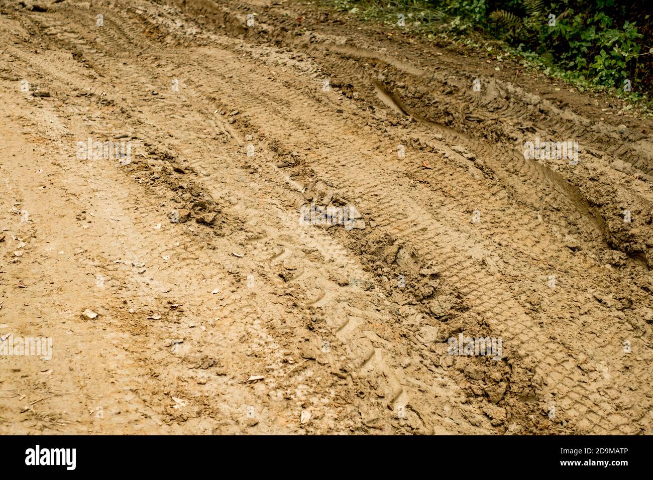 traces of cars in the mud Stock Photo - Alamy