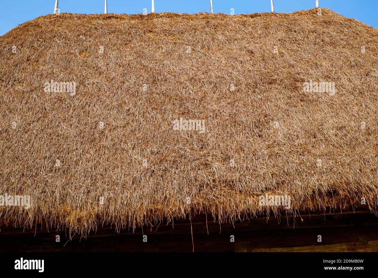 traditional old Romanian straw roofing Stock Photo - Alamy