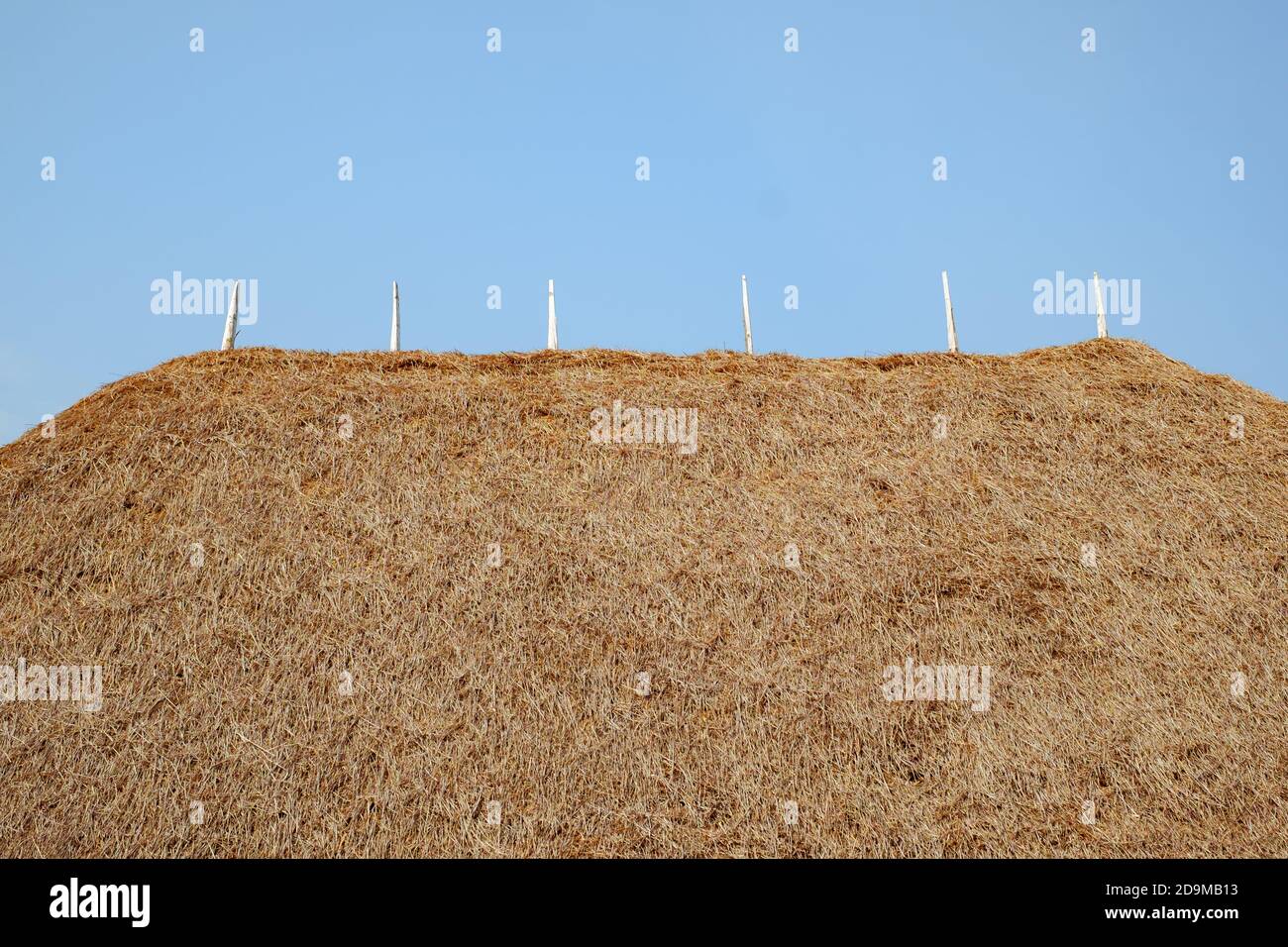 traditional old Romanian straw roofing Stock Photo - Alamy