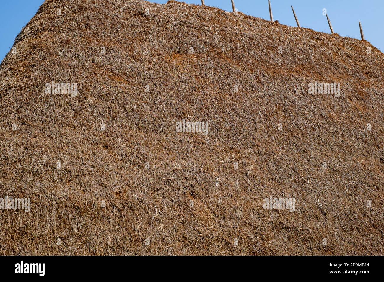 traditional old Romanian straw roofing Stock Photo - Alamy