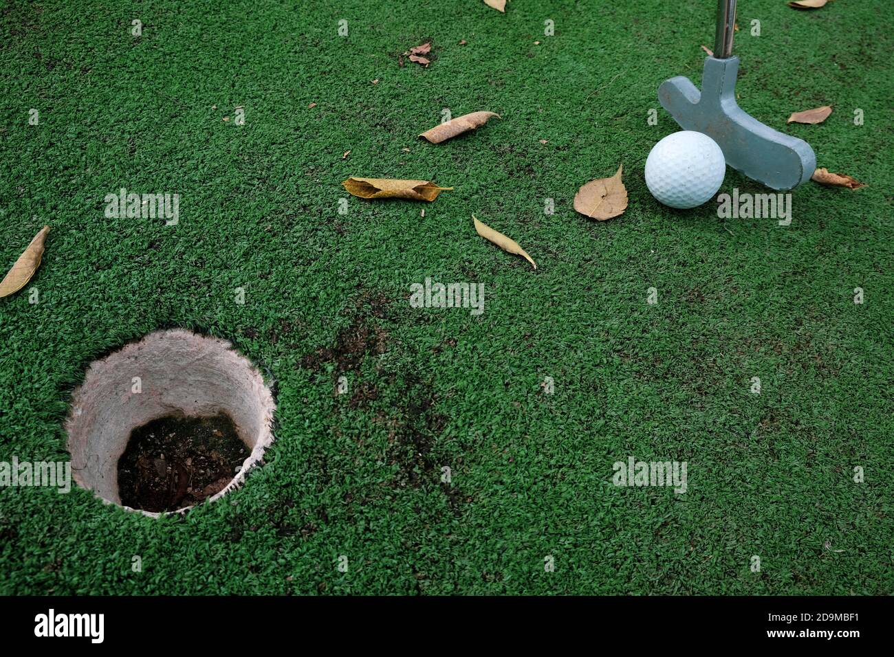 Playing mini golf on artificial green grass outdoors with fallen leaves ...