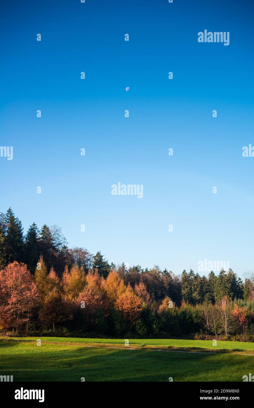 With half moon and crown hi-res stock photography and images - Alamy