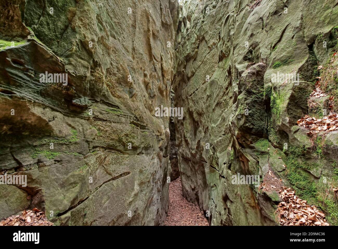 Devil's Gorge near Ernzen, Farschweiler Plateau, South Eifel, Rhineland ...
