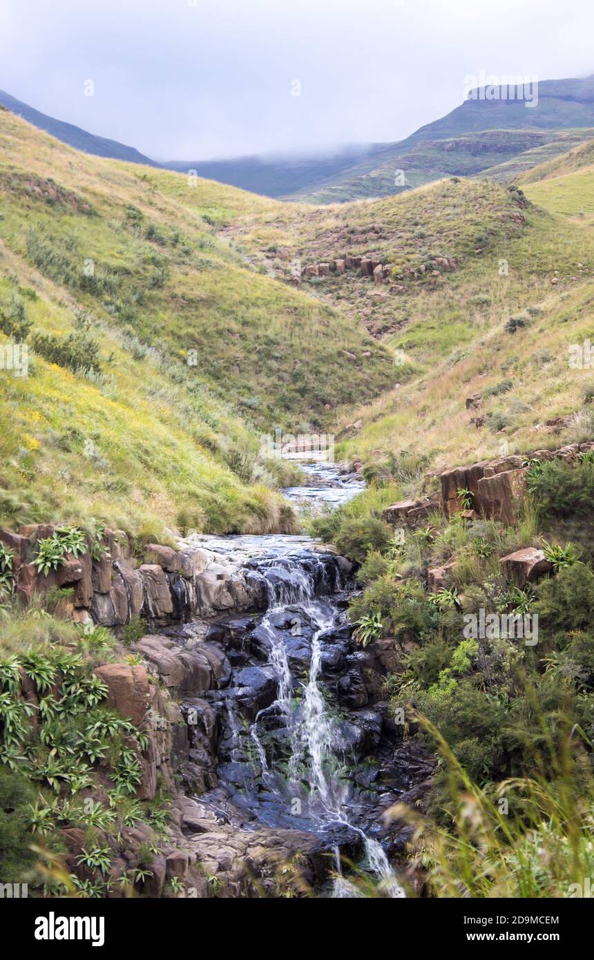 Ribbok hiking trail hi-res stock photography and images - Alamy