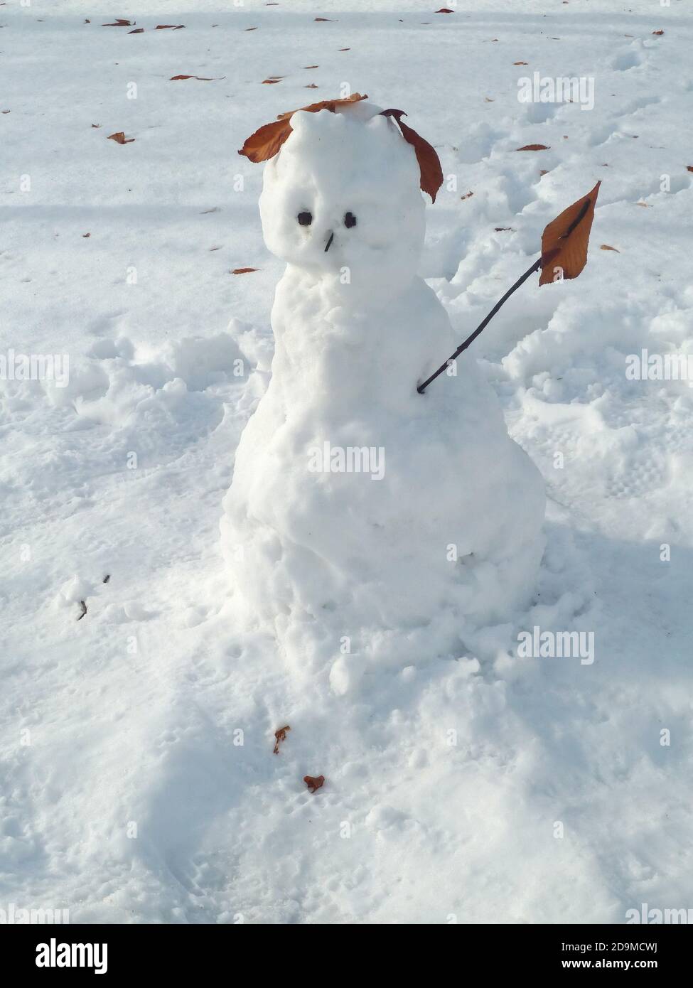 Snowman with a dry branch with leaves standing in the snow field Stock ...